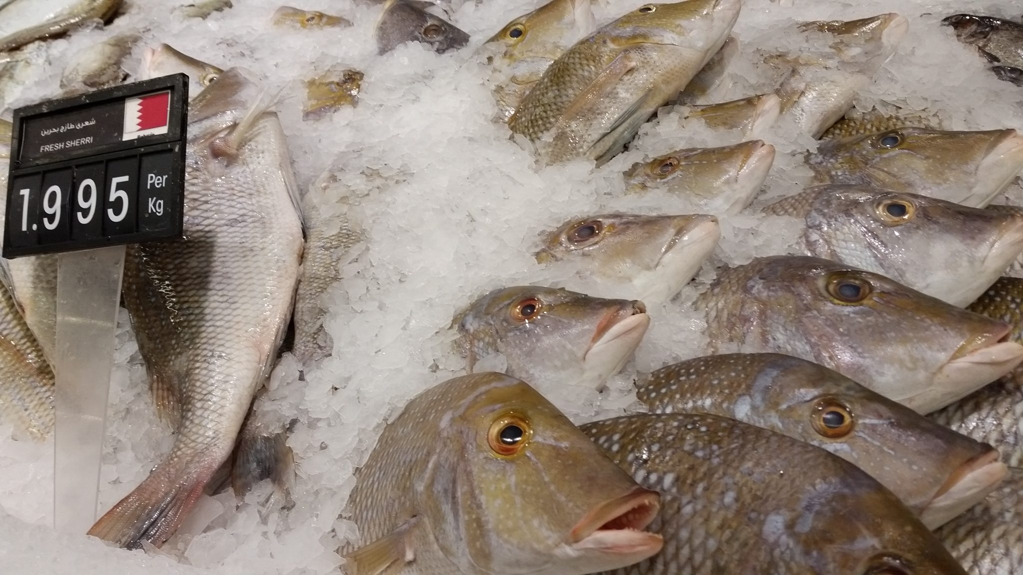 Preise in Bahrain – YALLA BAHRAIN – der deutschsprachige Bahrain Blog